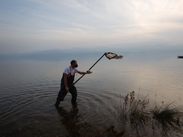 Greece - Bristol Zoo Project