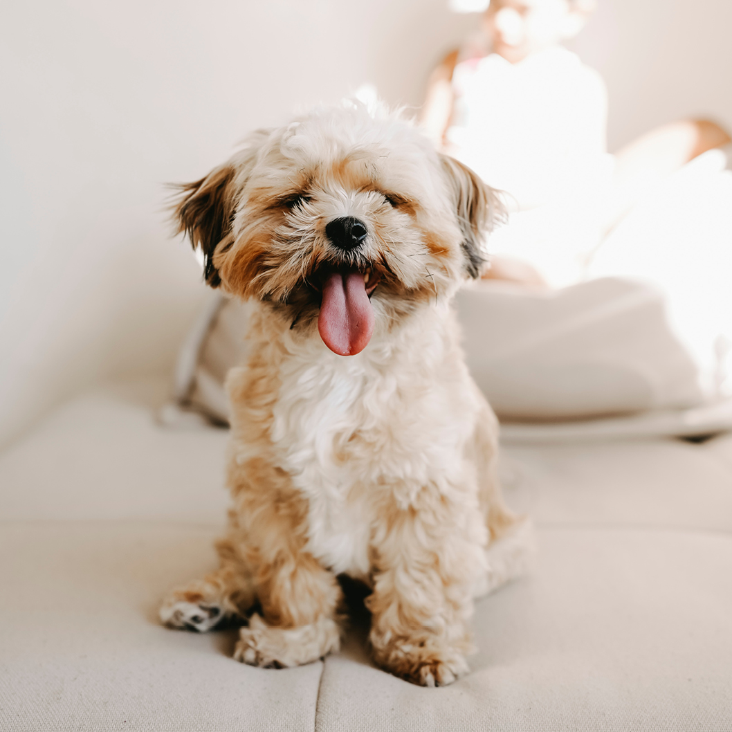 Testseite Chanti | We love HUNTER