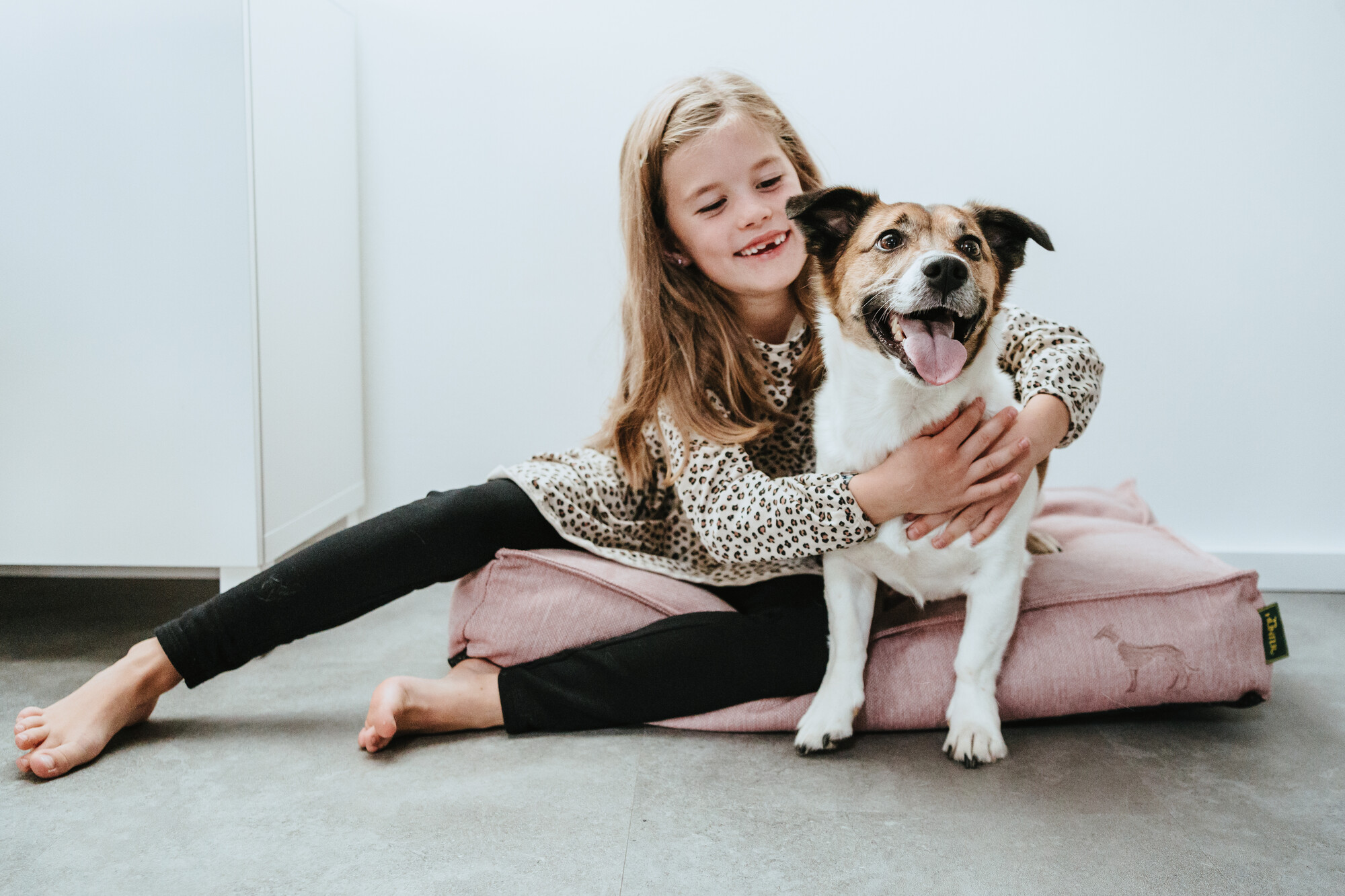 Everything for dogs | We love HUNTER