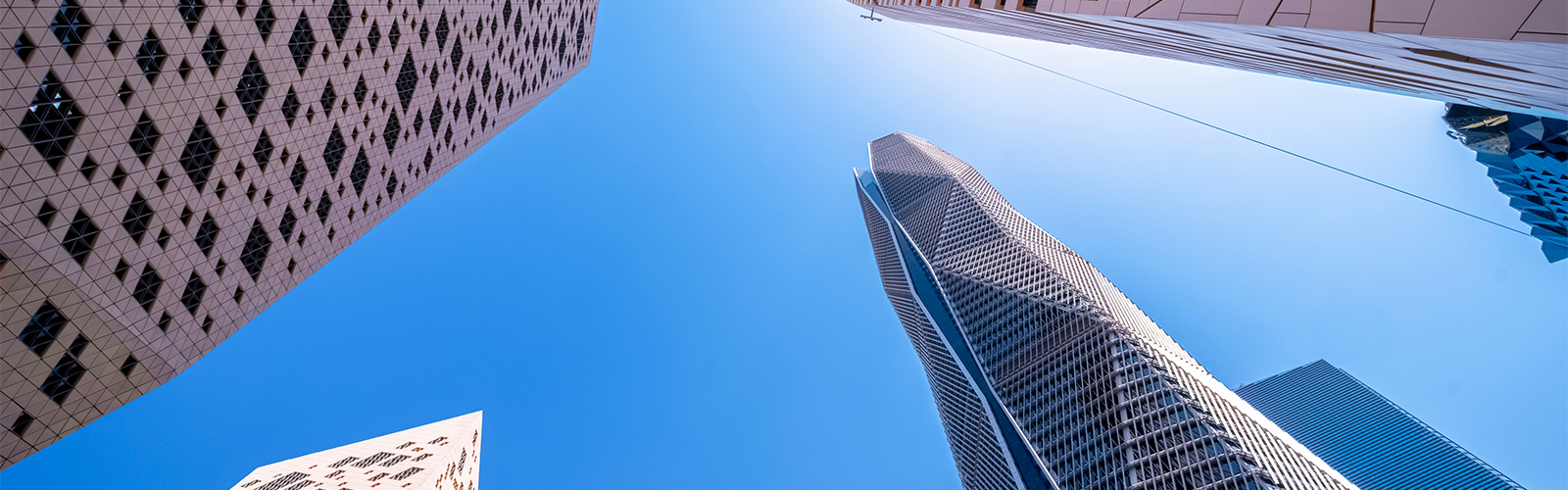 Establishing Enduring Wealth: How to Build a Professional Single Family ...