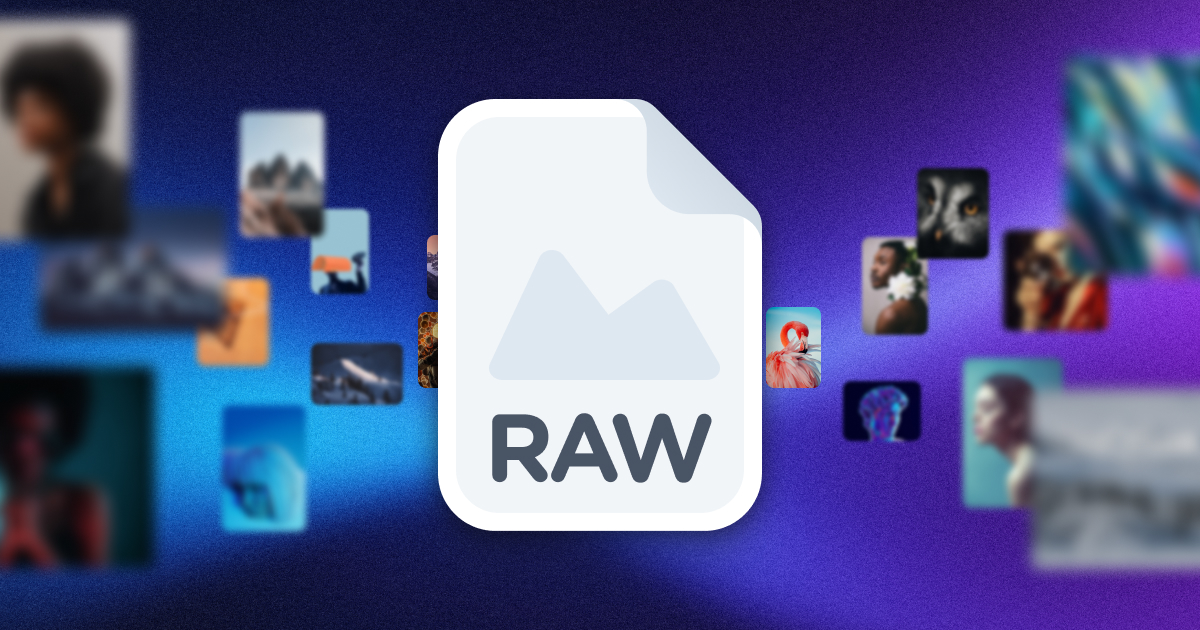 How to Extract the Preview Image from RAW Files