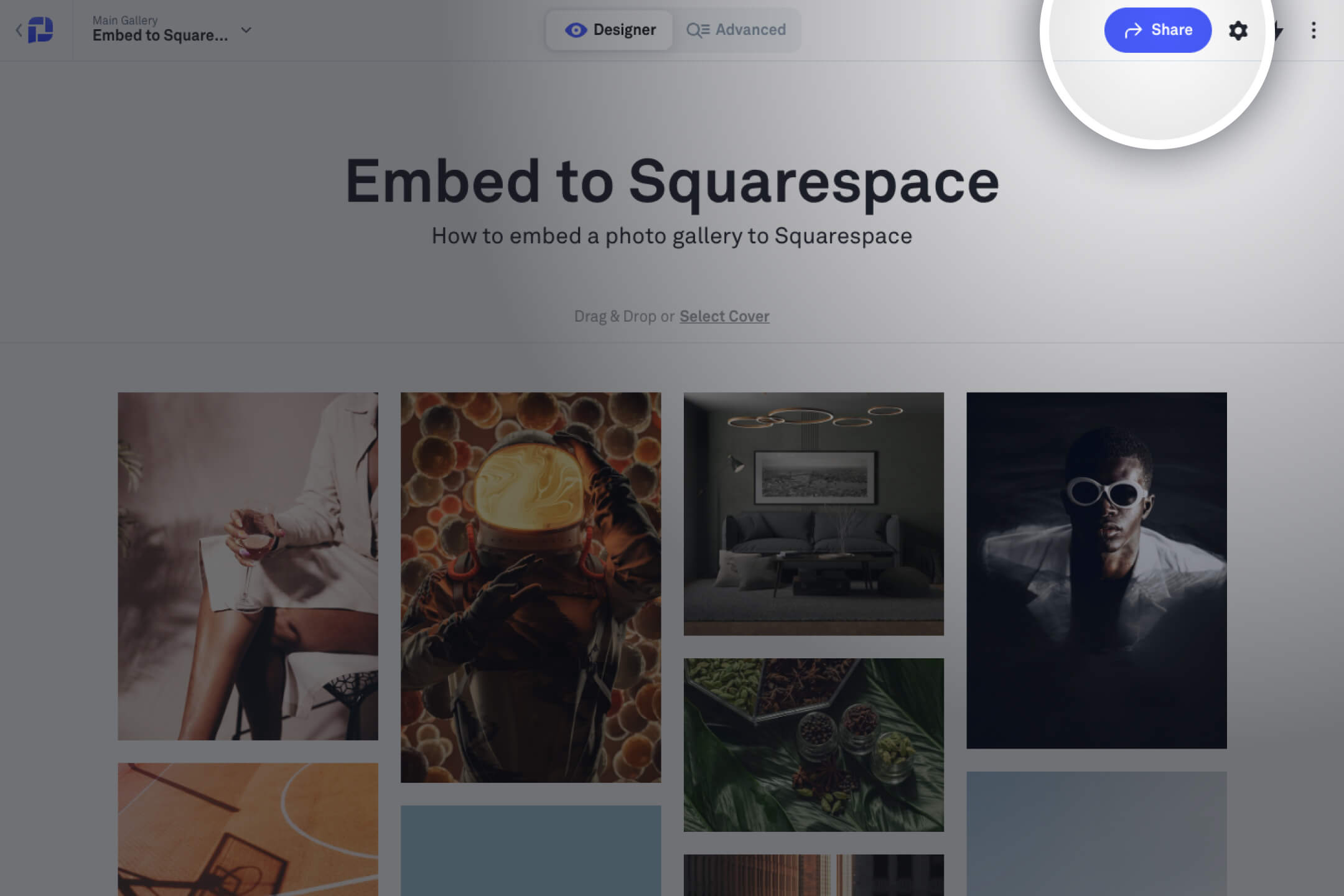 How to Embed a Photo Gallery on Squarespace?