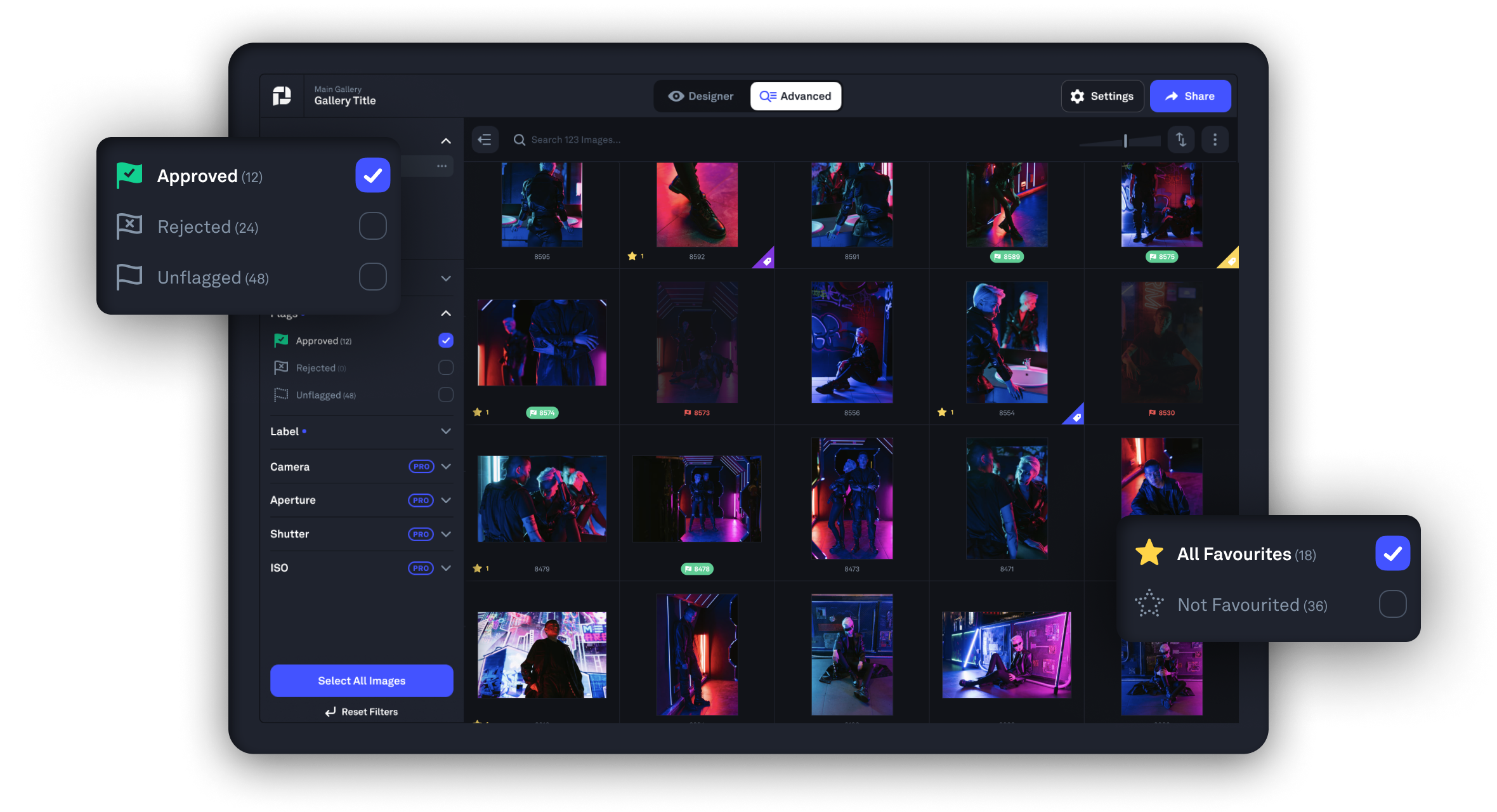 Manage Client Galleries and Review Feedback — Try Picflow for Free!