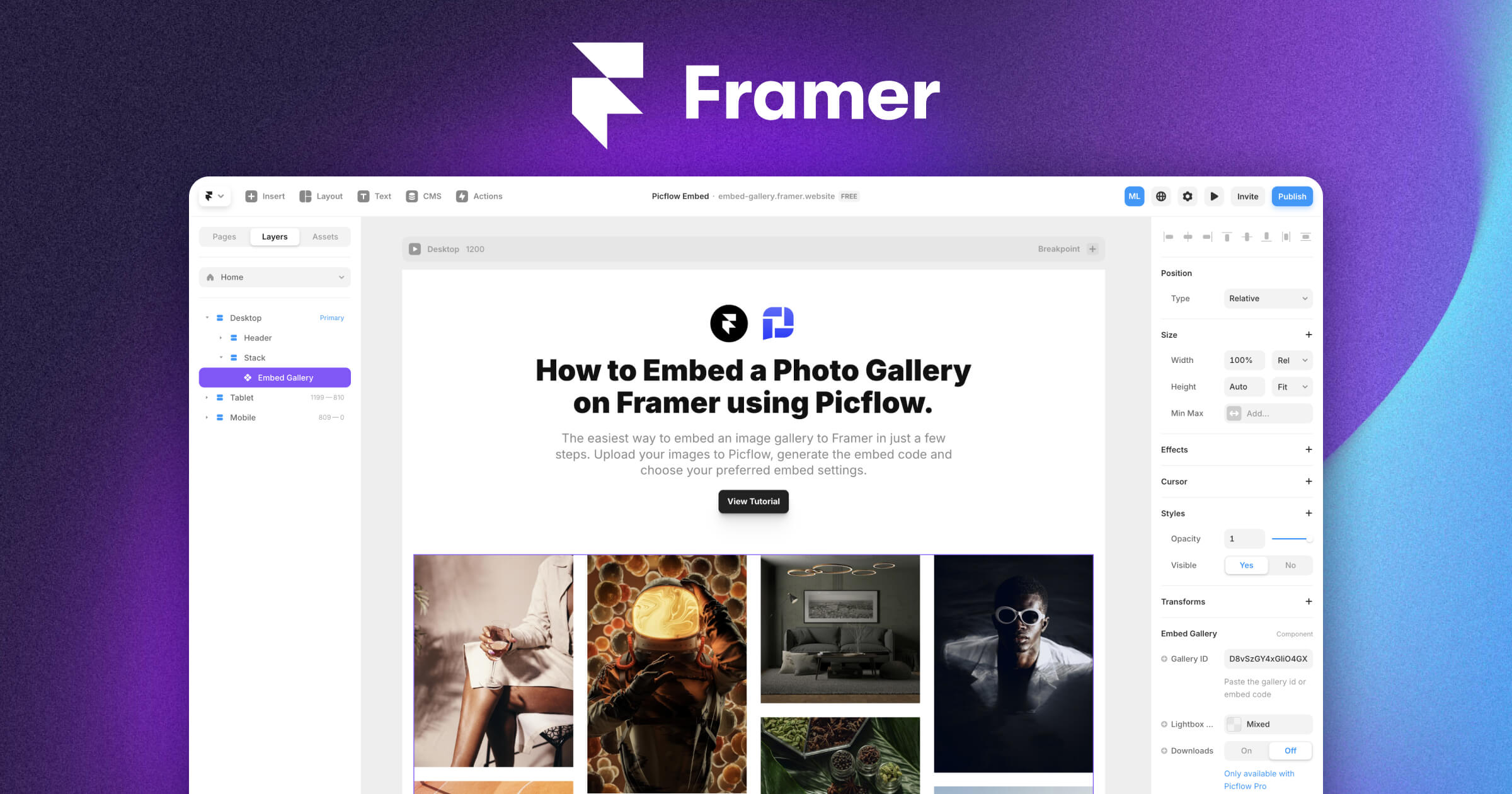 How to Embed a Photo Gallery on Webflow?