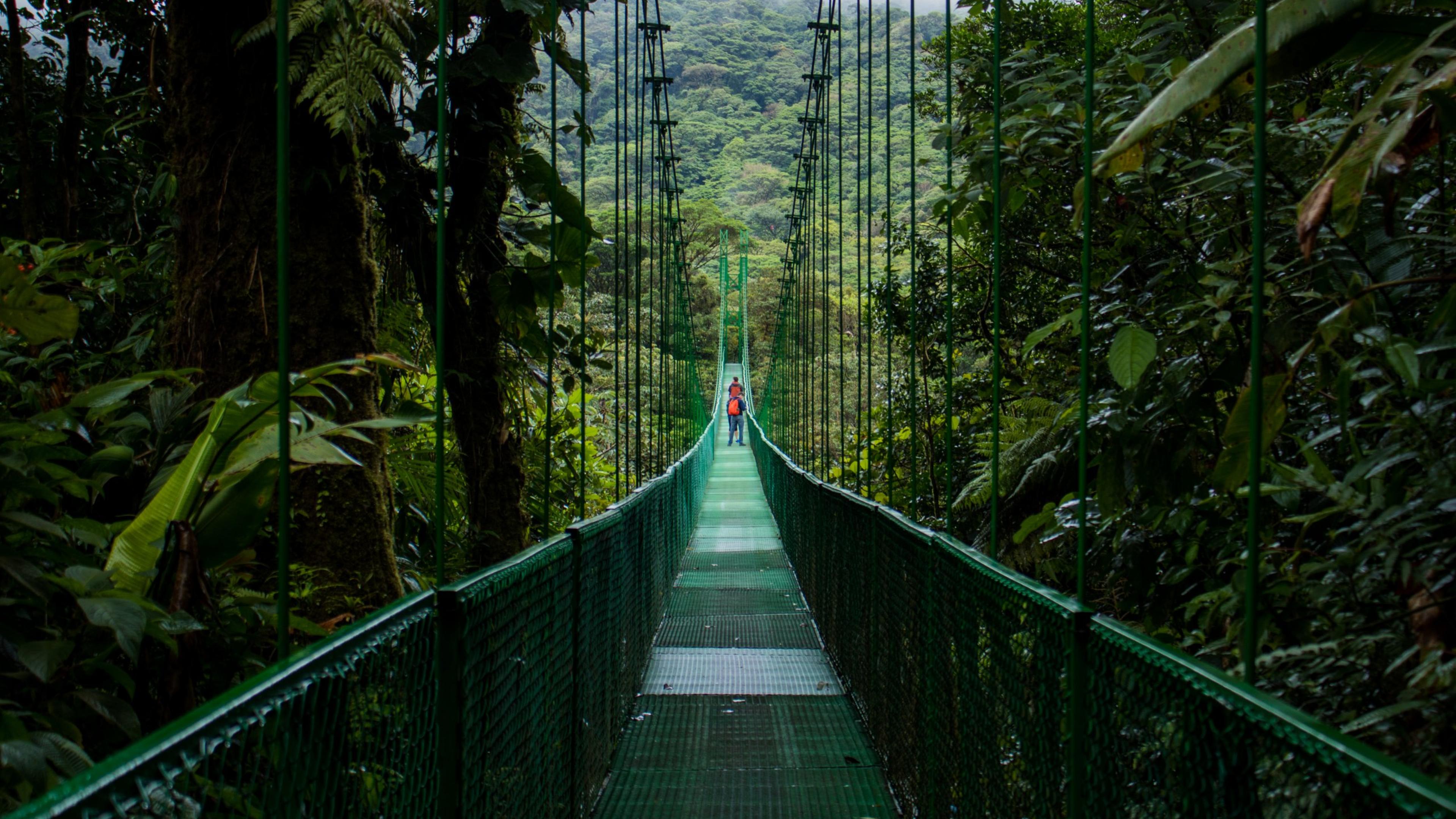 4-Week Sustainable Development Summer Program in Costa Rica