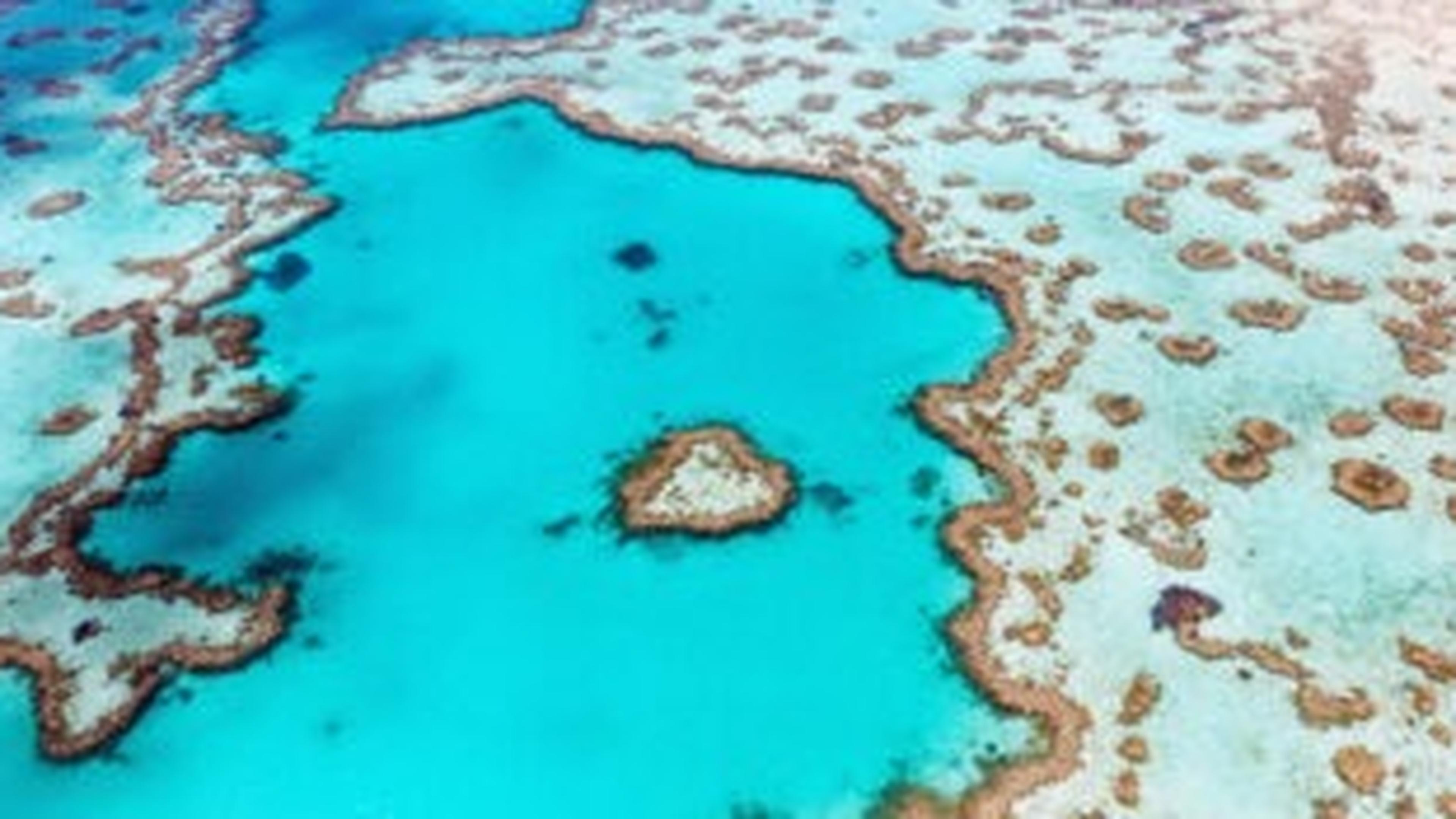 EF Gap Year - The Ultimate 23-Week Gap Year Program