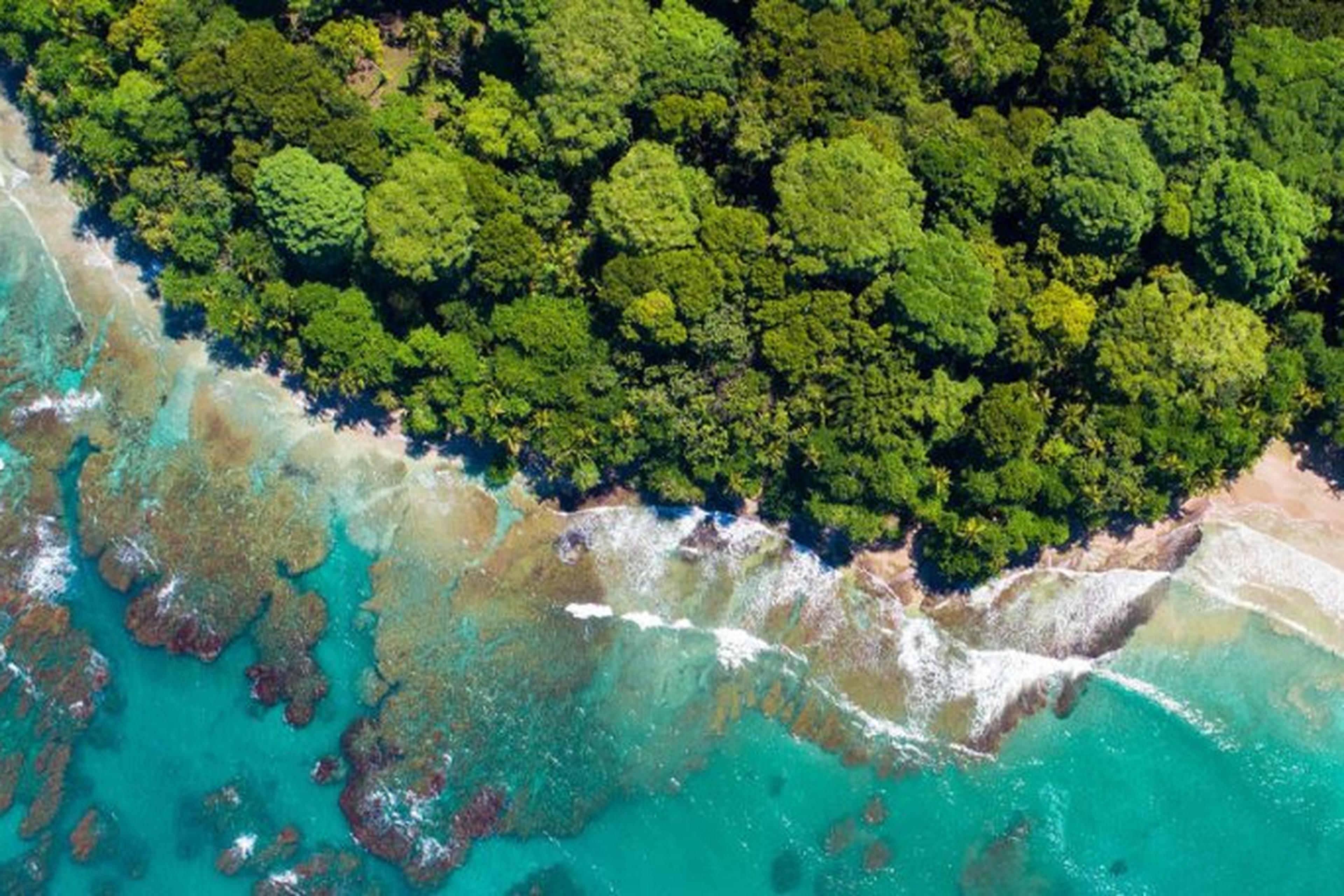 EF Gap Semester Programs for Every Student - EF Gap Year