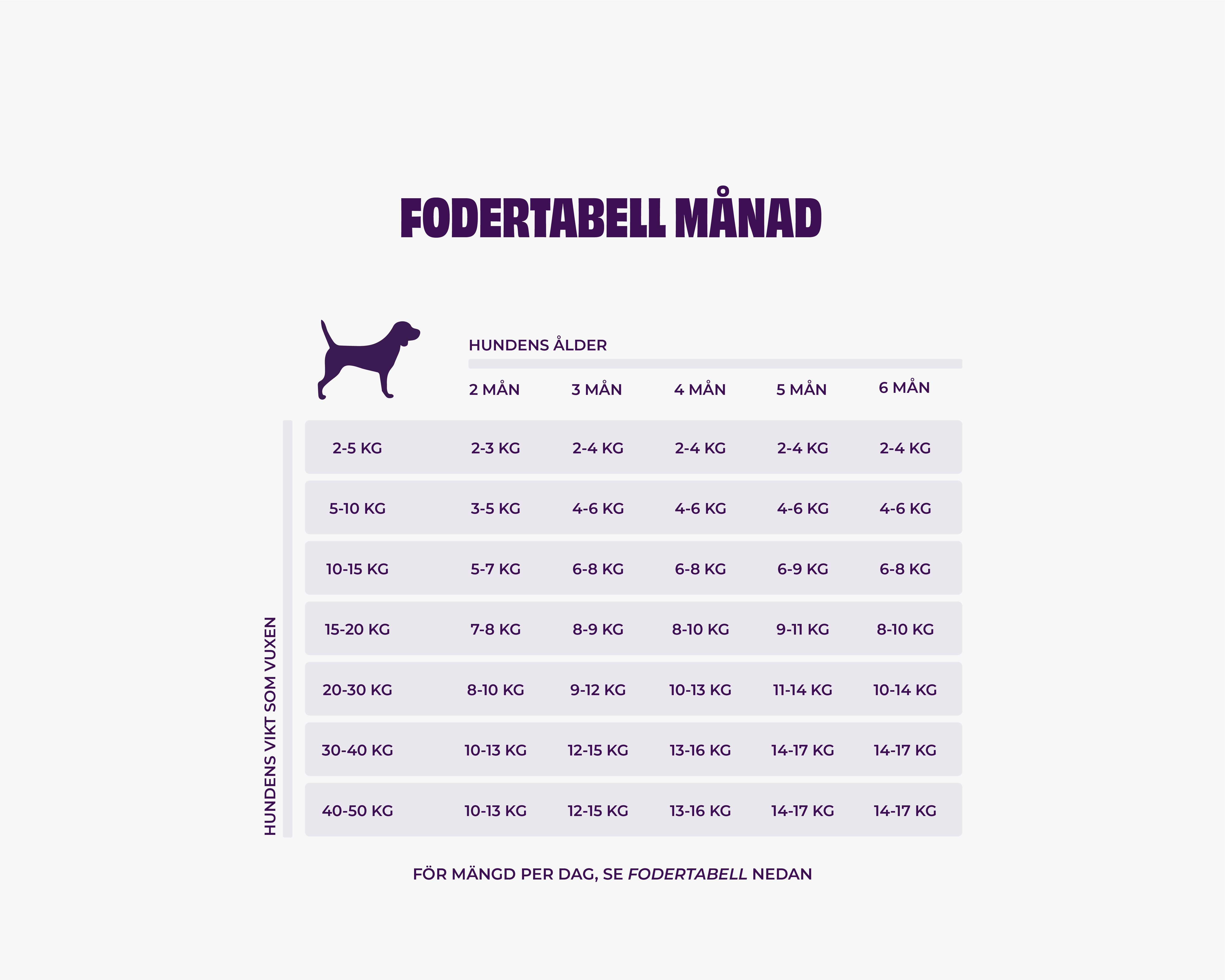 Insektsbaserad valp hundmat med smakgaranti - originalet från Petgood