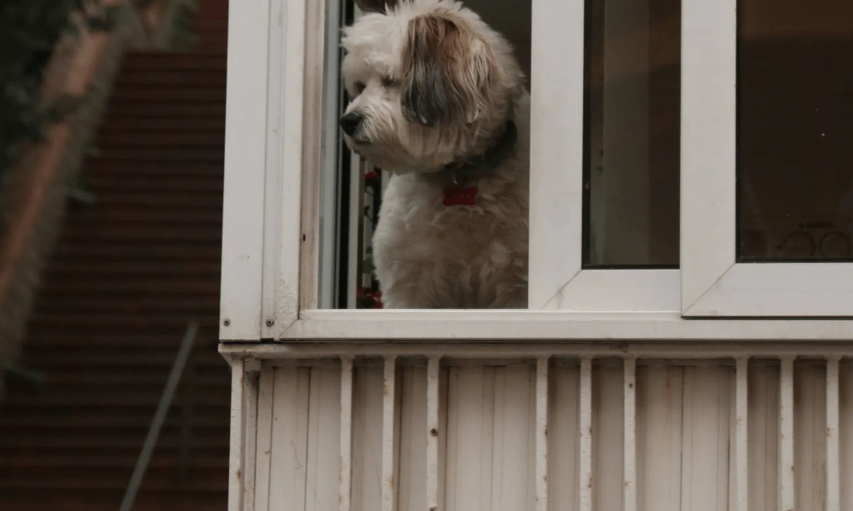 BISF House: What Are They? The Issues? & Can You Sell?