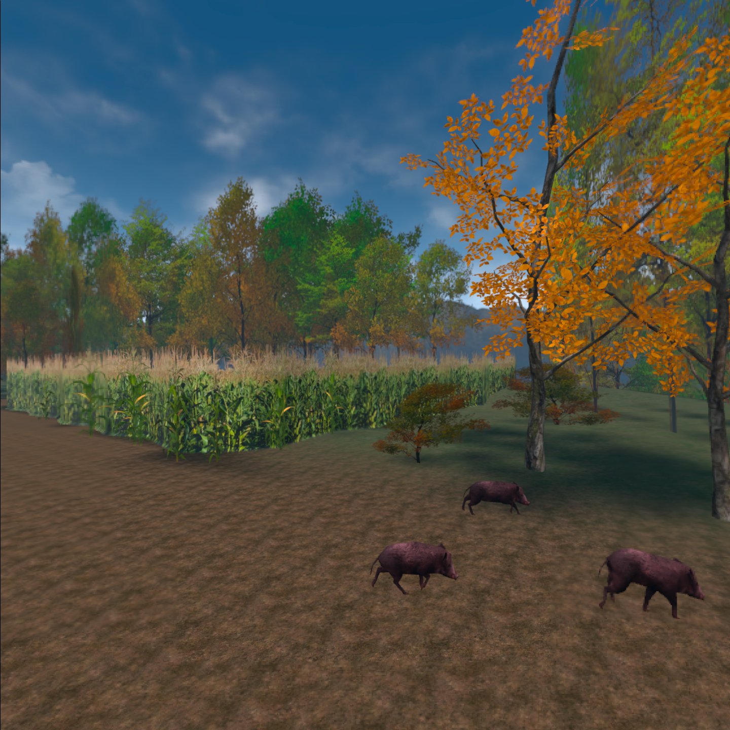 GAIM - Wild Boar Corn Field Scenario