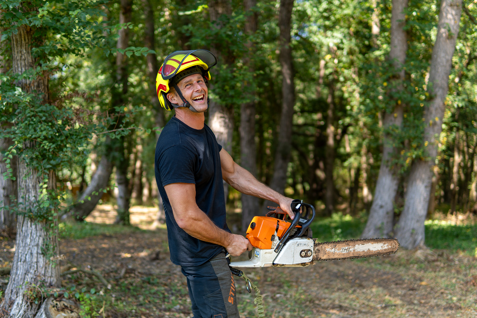 Tree Surgery Services | Expert Tree Care & Removal | JUSTHIRE