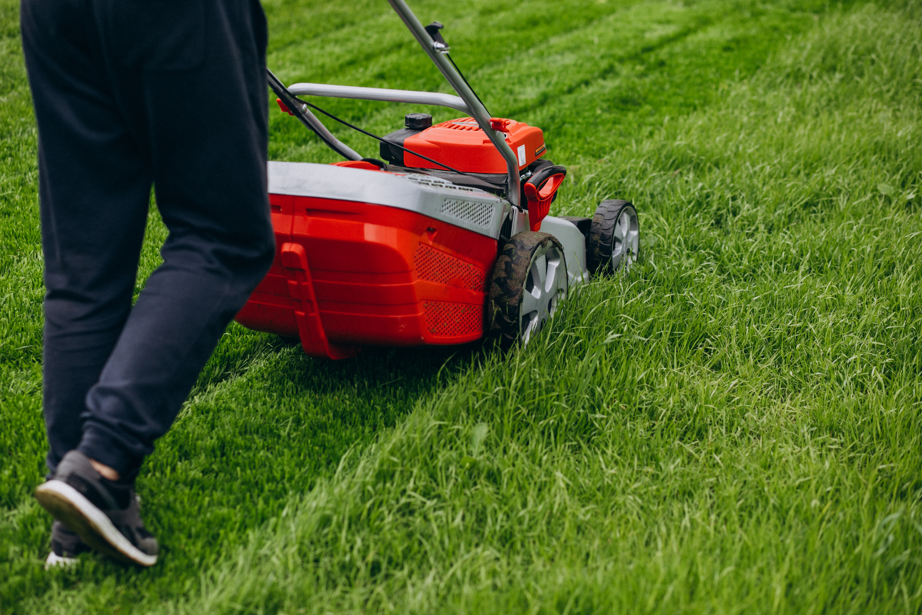 Regular Lawn Mowing Services | Reliable Garden Maintenance