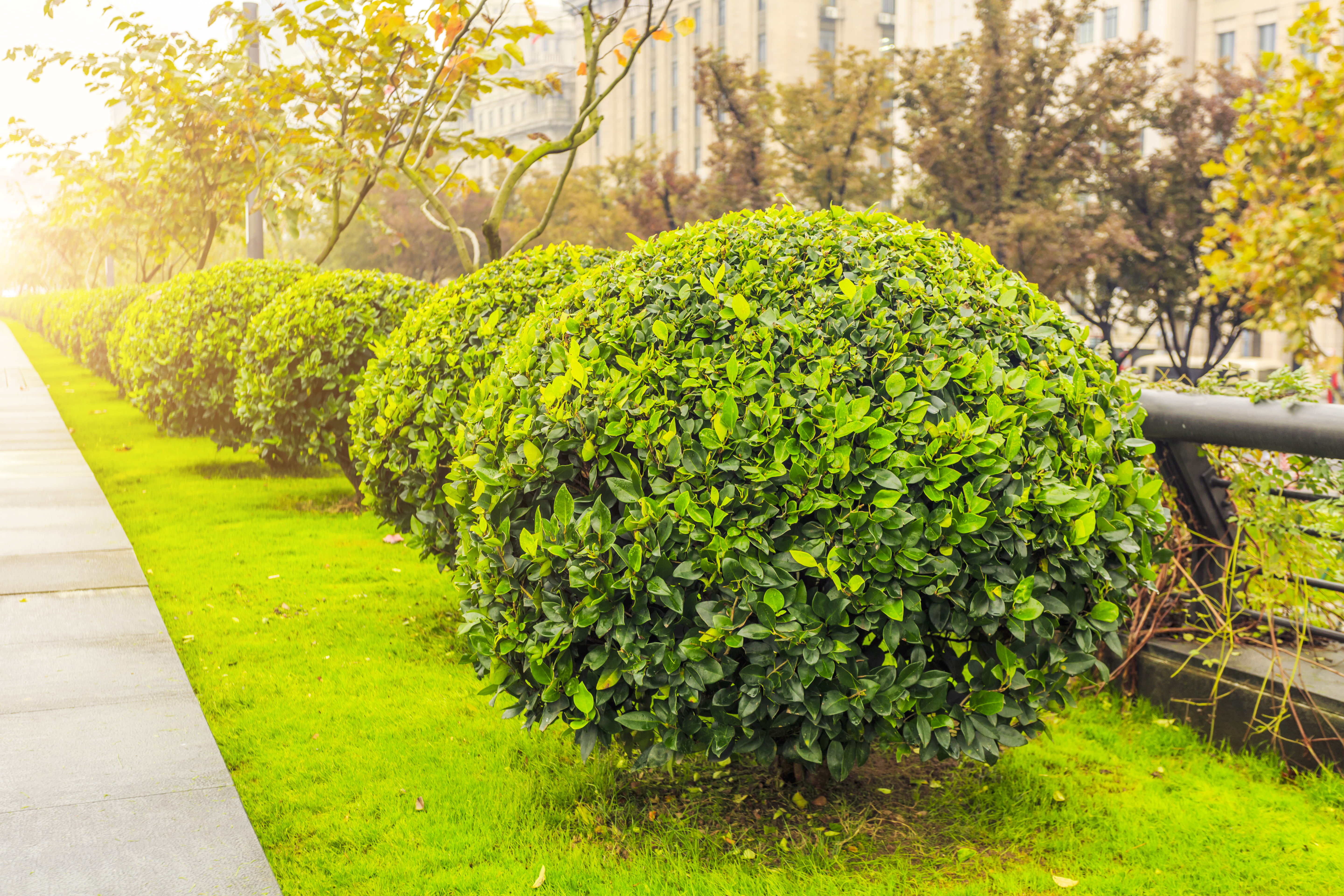 Hedge Reduction & Reshaping | JUSTHIRE