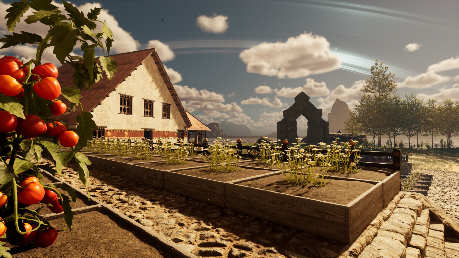 Creator Spotlight: MollyBerry | Nightingale