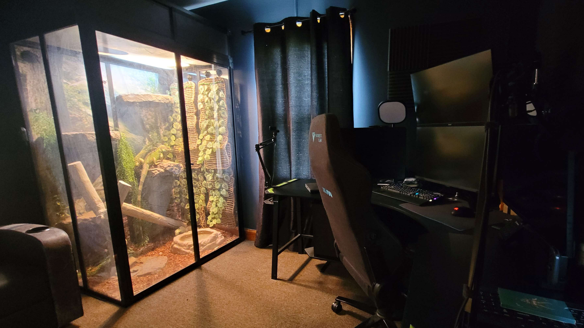 Creator Spotlight: Kiitarie | Nightingale