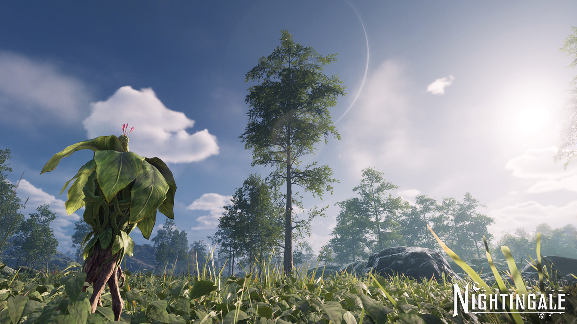 Inflexion Reflections | December 2023 | Nightingale