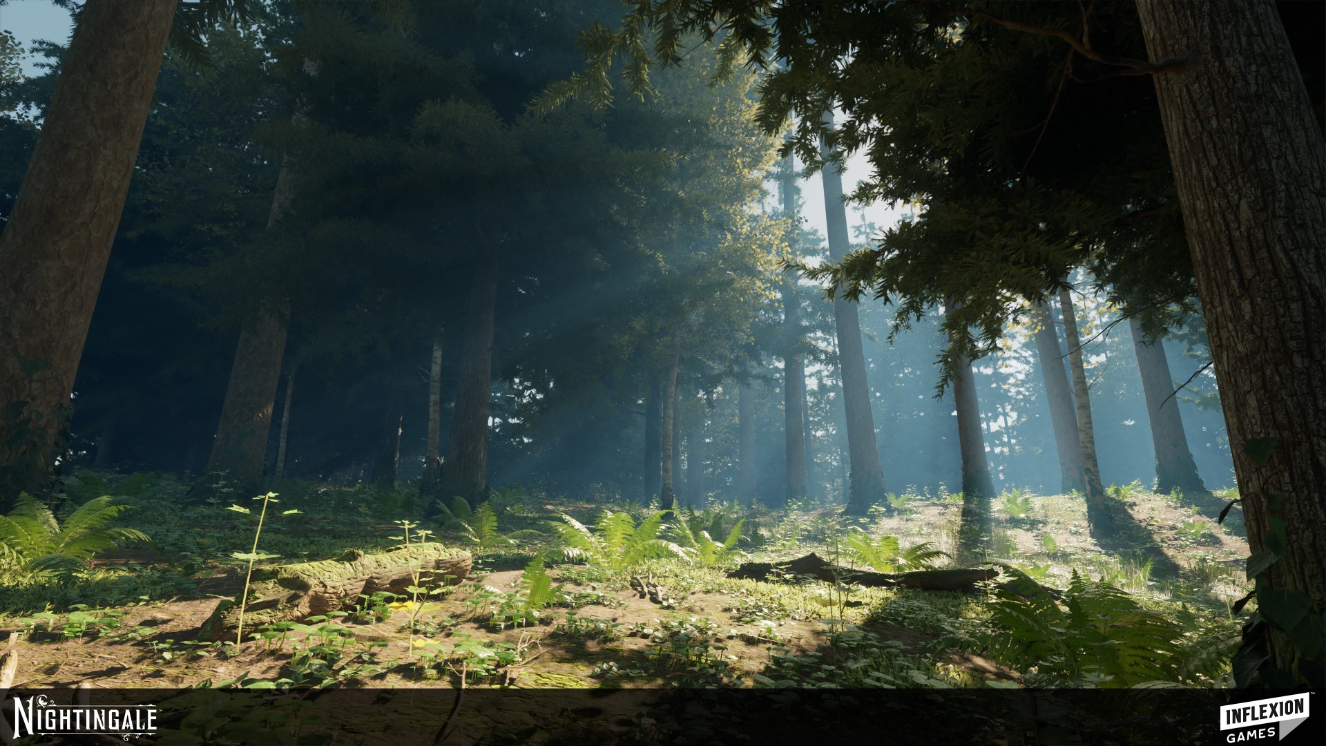 The Art of Nightingale | Nightingale