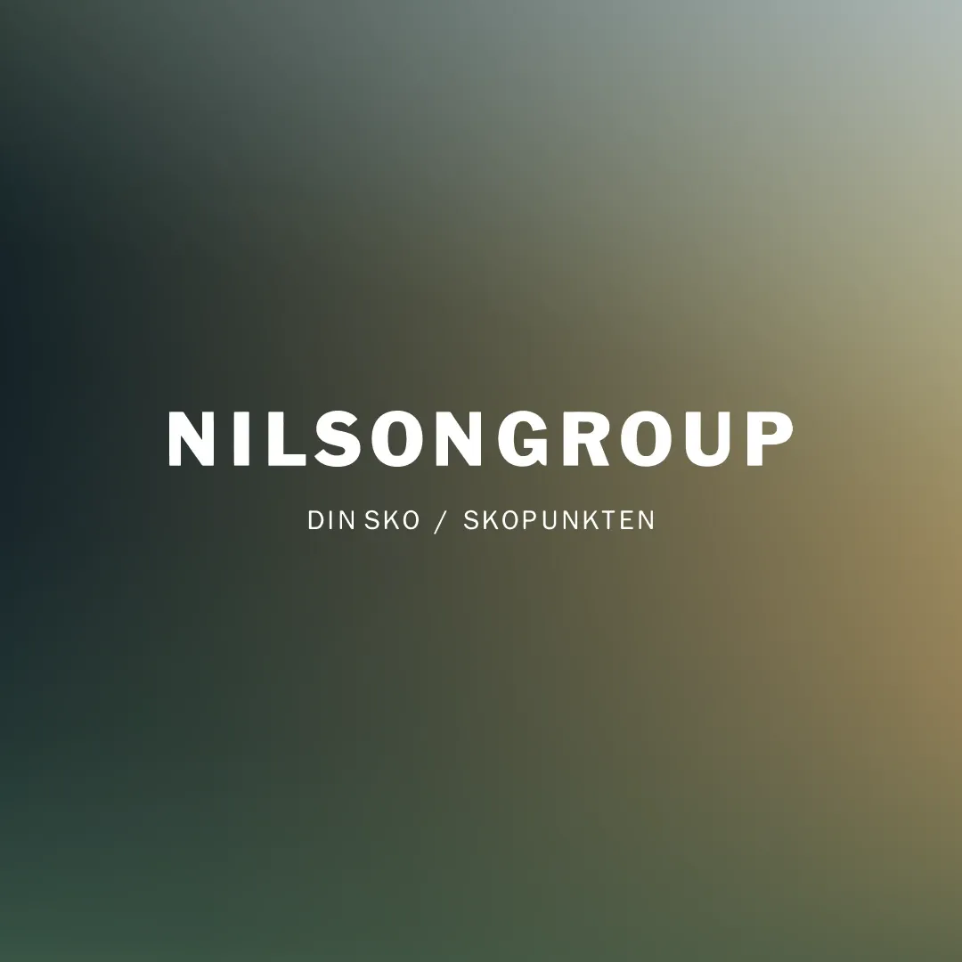 Nilson Logo