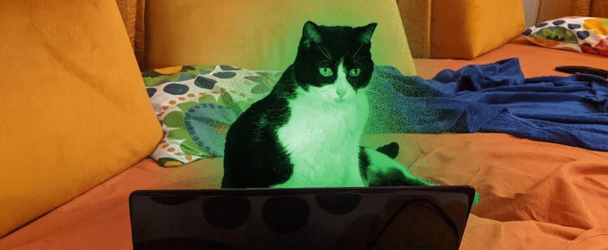 Ray Cat Solution - Treccani - Treccani