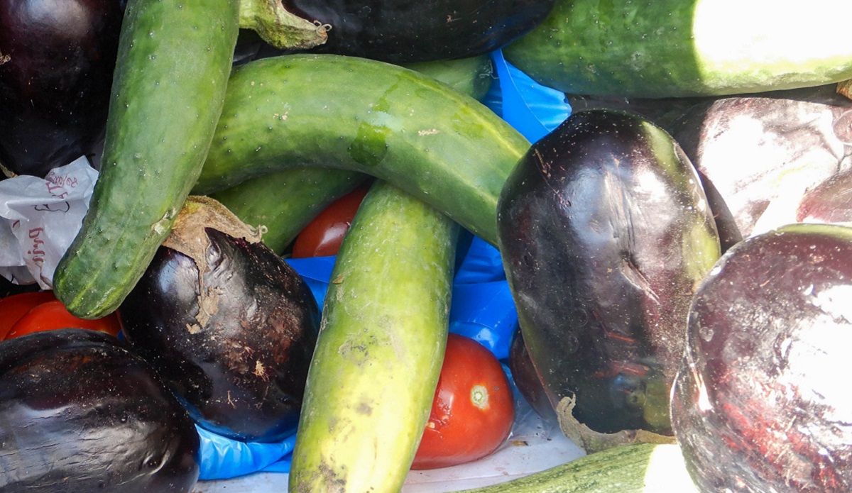 Ridurre lo spreco di cibo - Treccani