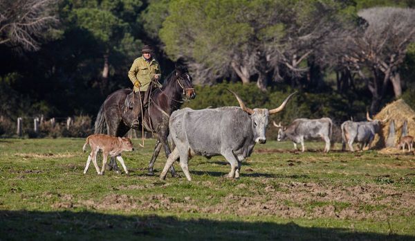 La-comunita-di-ricerca - Treccani - Treccani