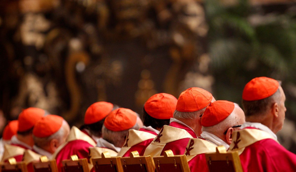 I cardinali di Francesco: il futuro della Chiesa nel collegio ...