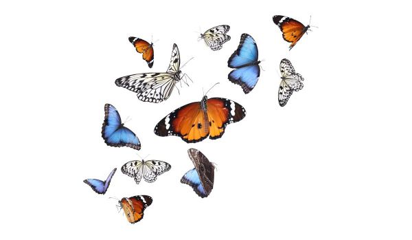 Fumetti-da-premio-strega - Treccani - Treccani