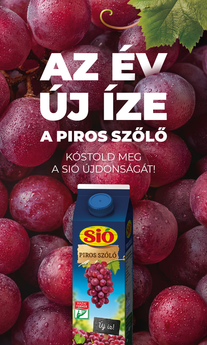 SIÓ | Gyümölcslevek, smoothie és limonádé