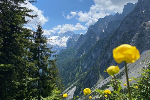 Finally alpine summer is here!, Dachstein West
