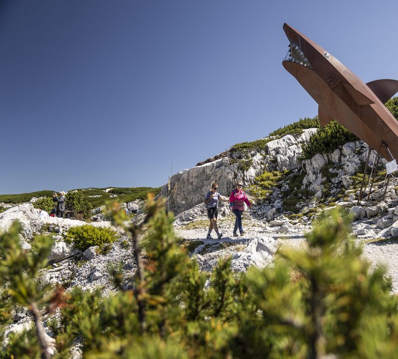Dachstein Krippenstein