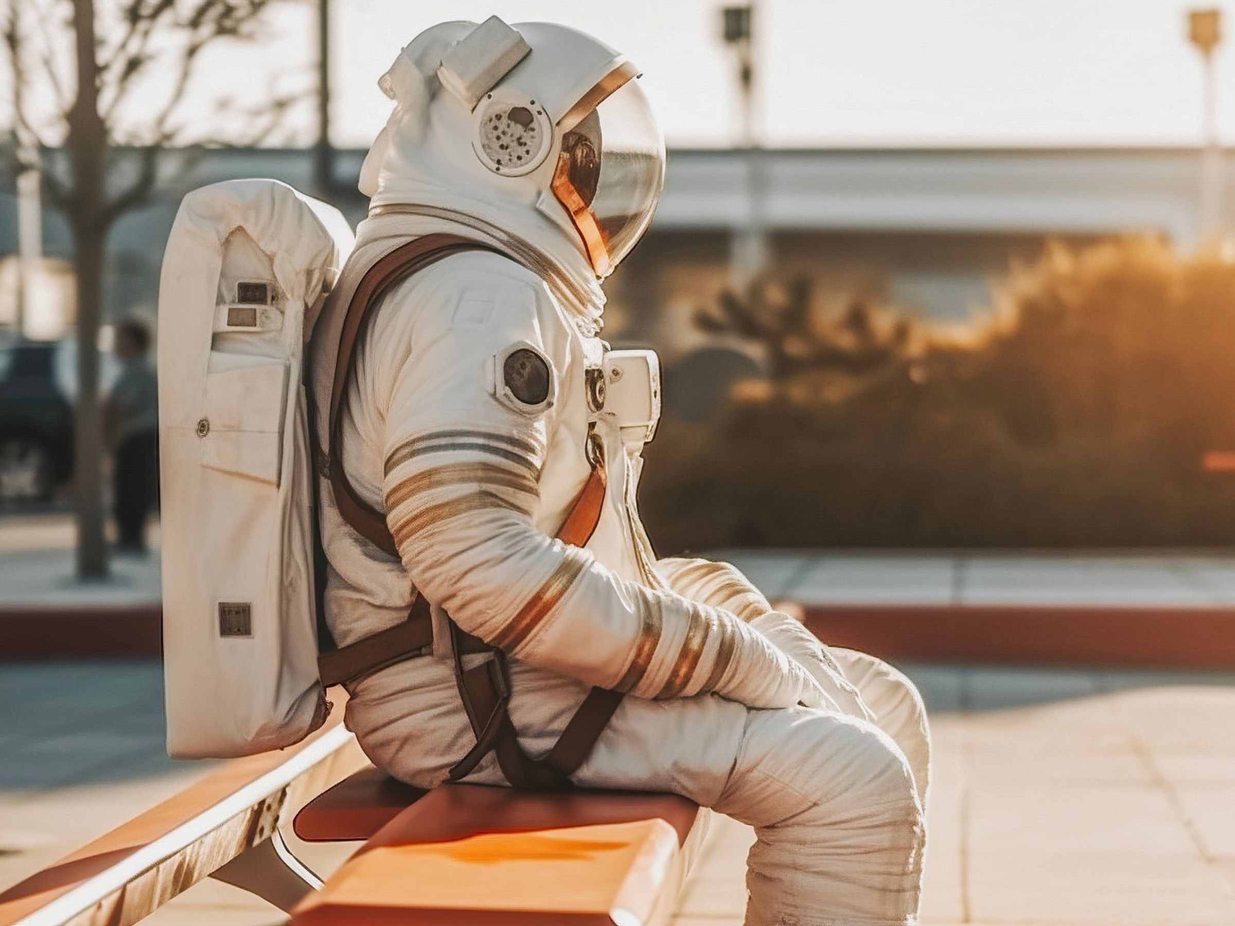 Das Team hinter HAMSTA