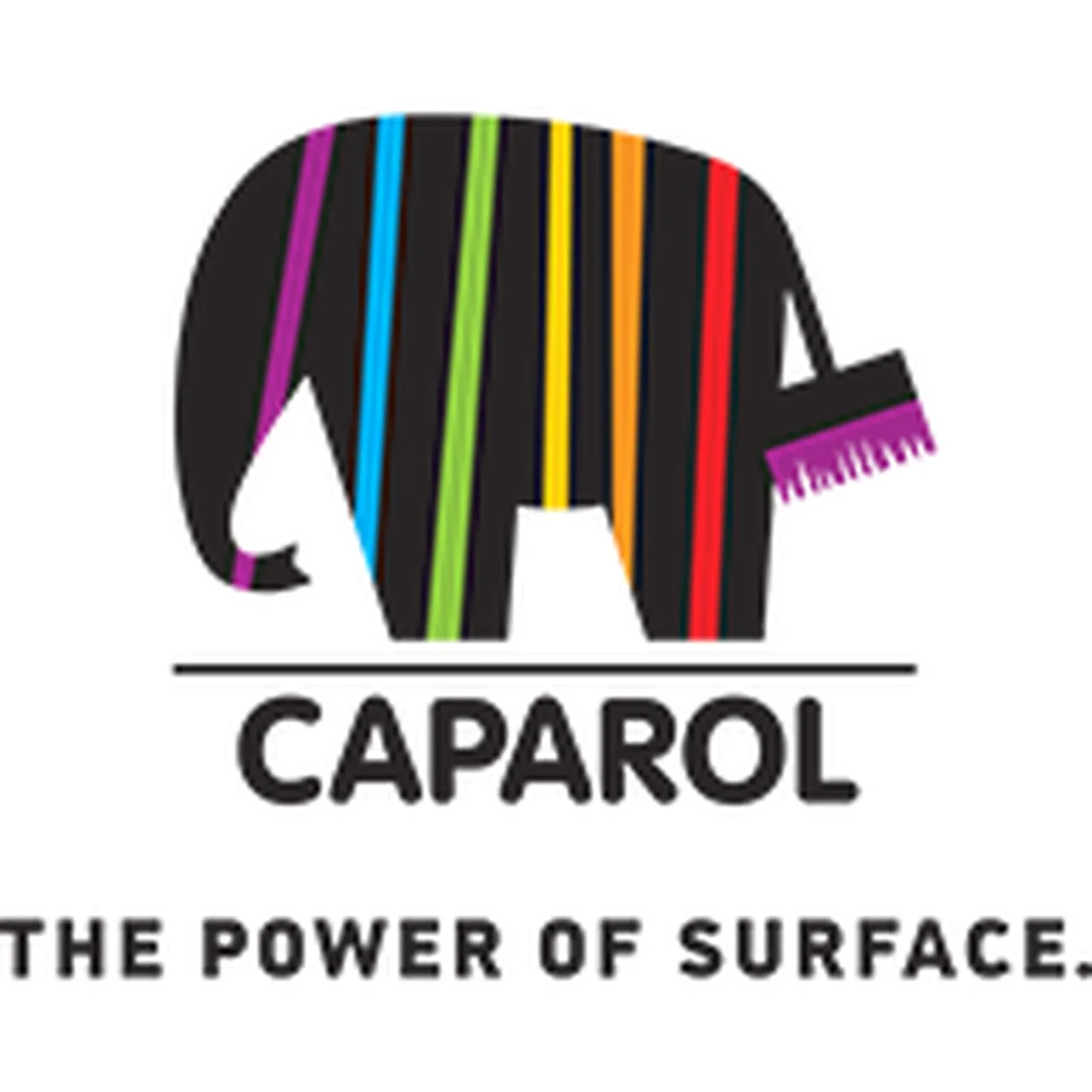 FLEXFY Insights - Caparol