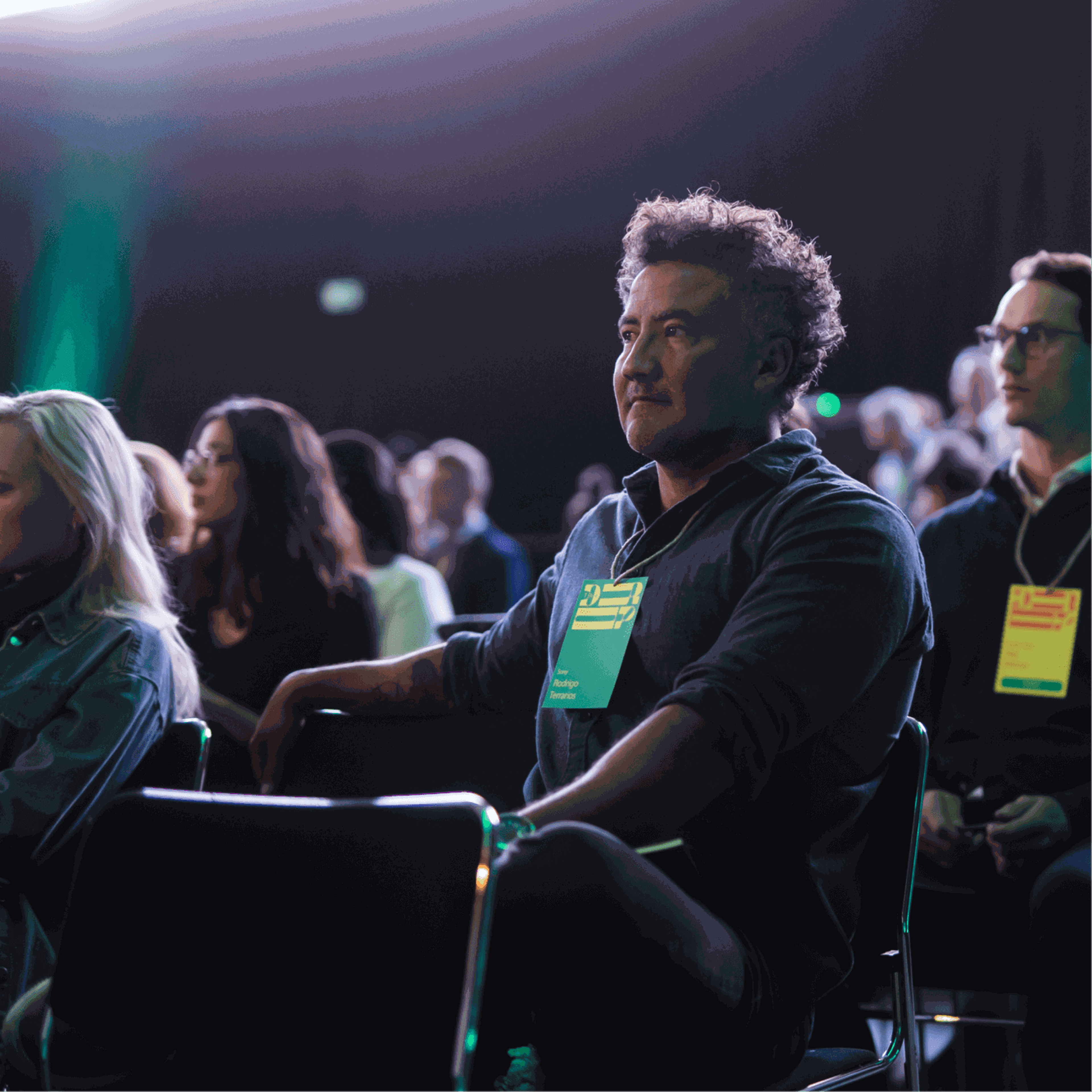 Domino Studio | The Drop