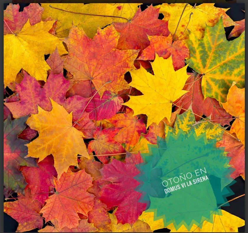 Actividades de Otoño