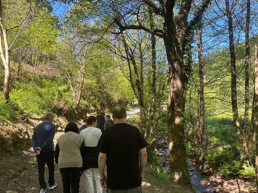 Paseo por la naturaleza