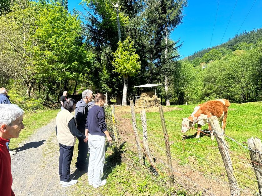 Paseo por la naturaleza