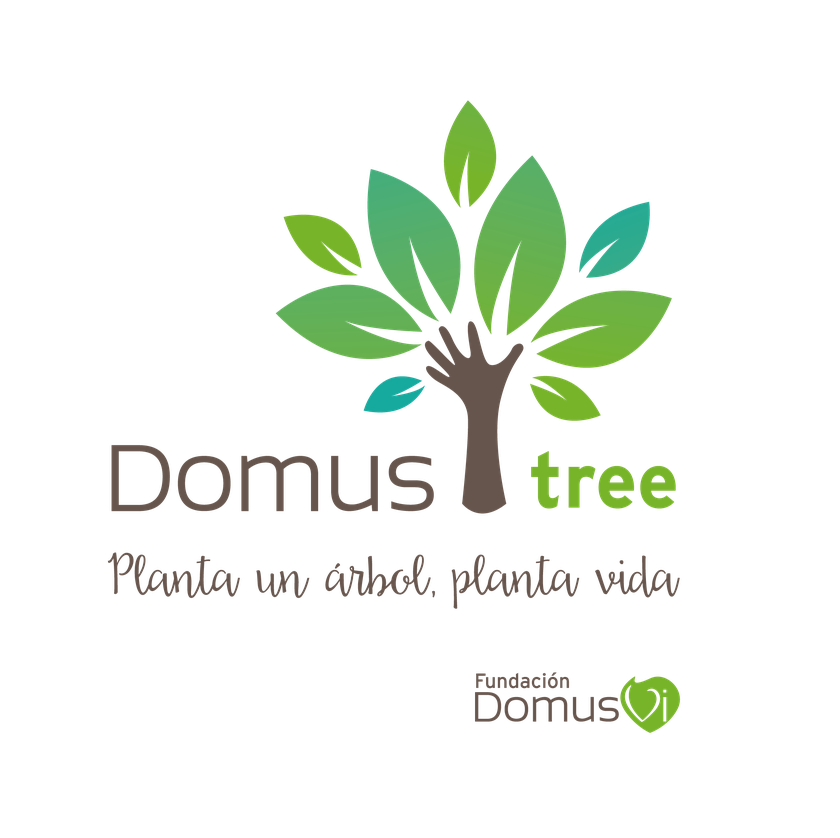 DOMUSTREE