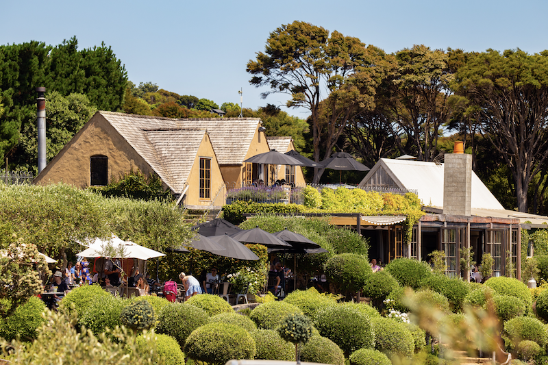 Waiheke Island Tourism