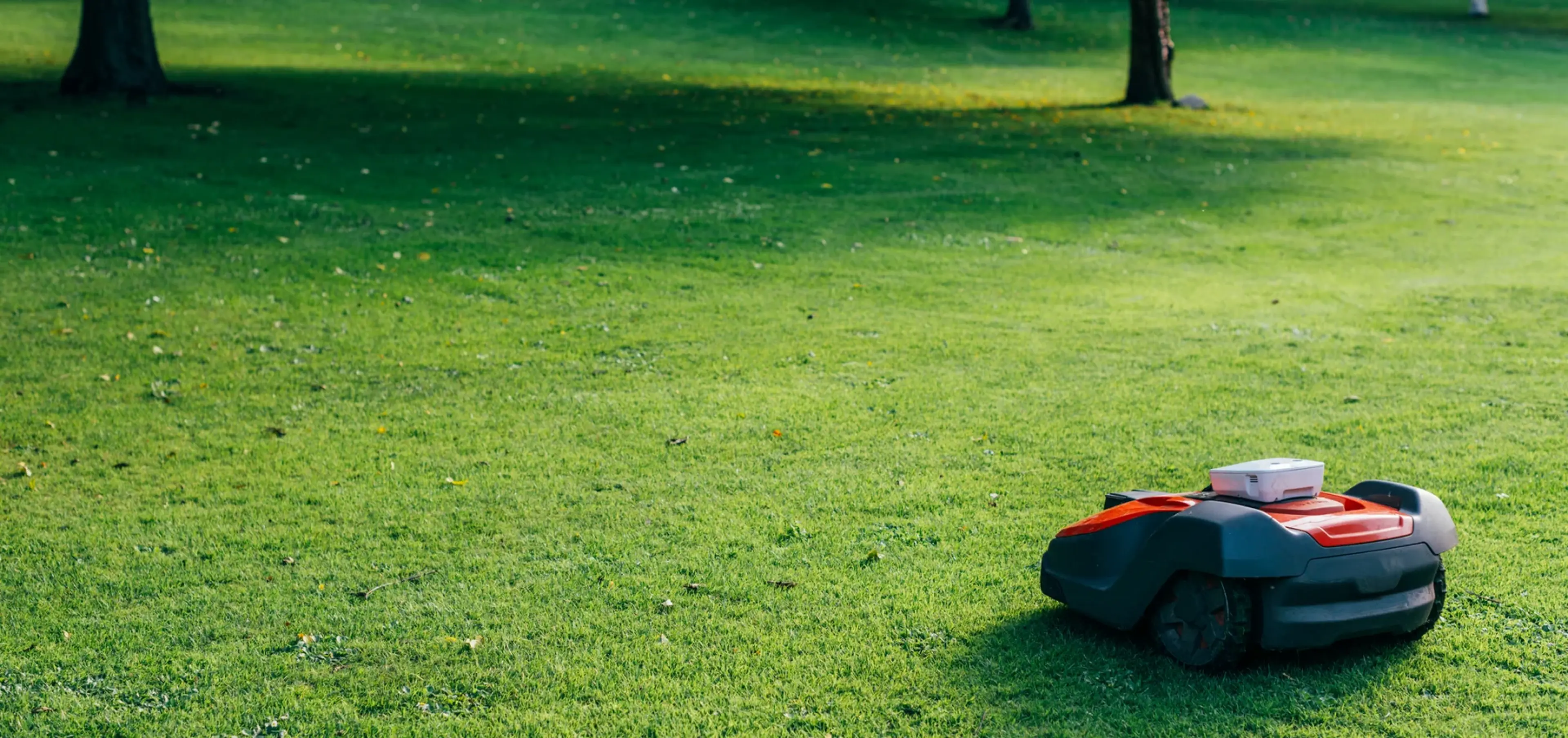 Overview: Plastic Recyclates & Recycled Materials | CIRPLUS.COM