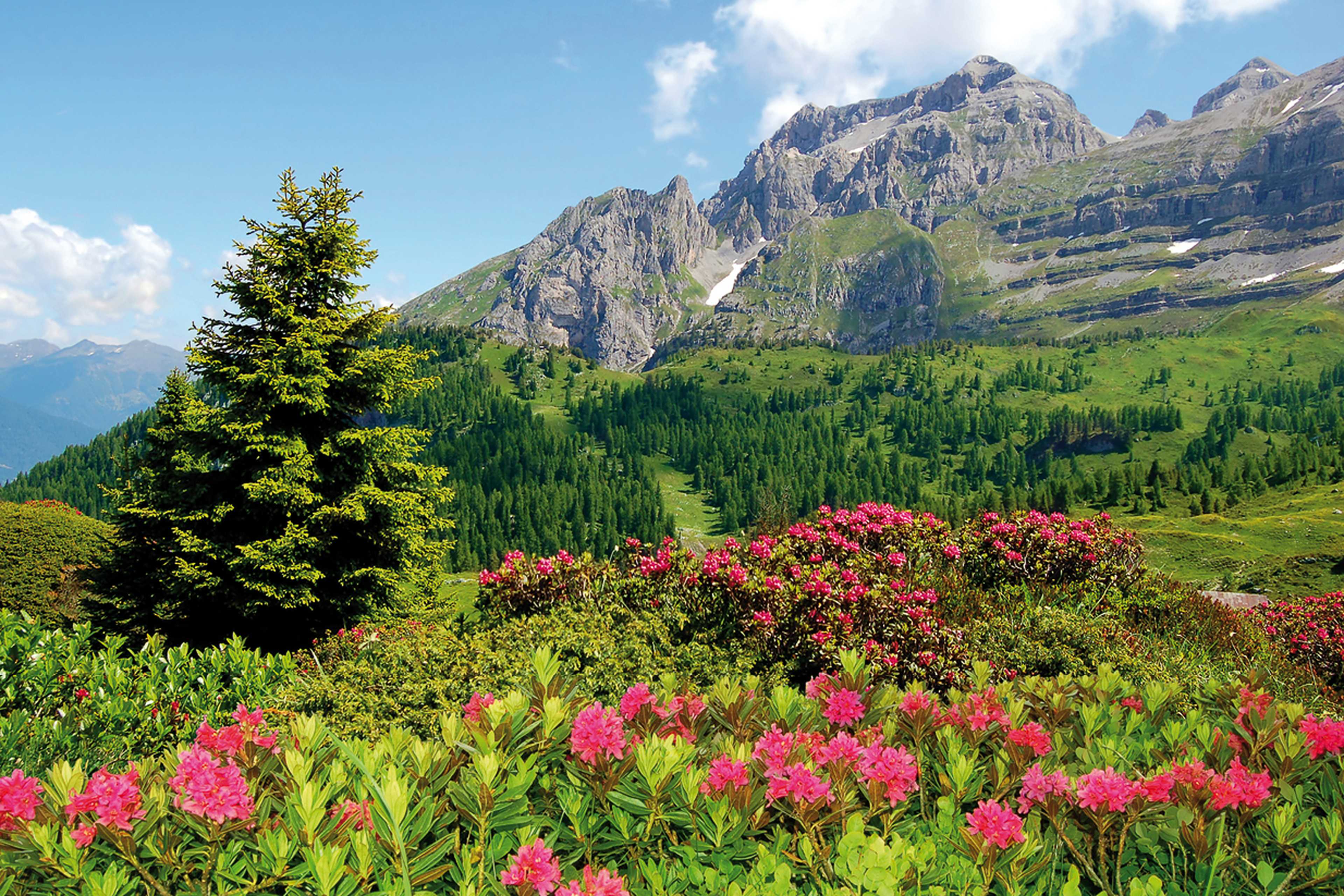 Holiday offers | Saga Holidays