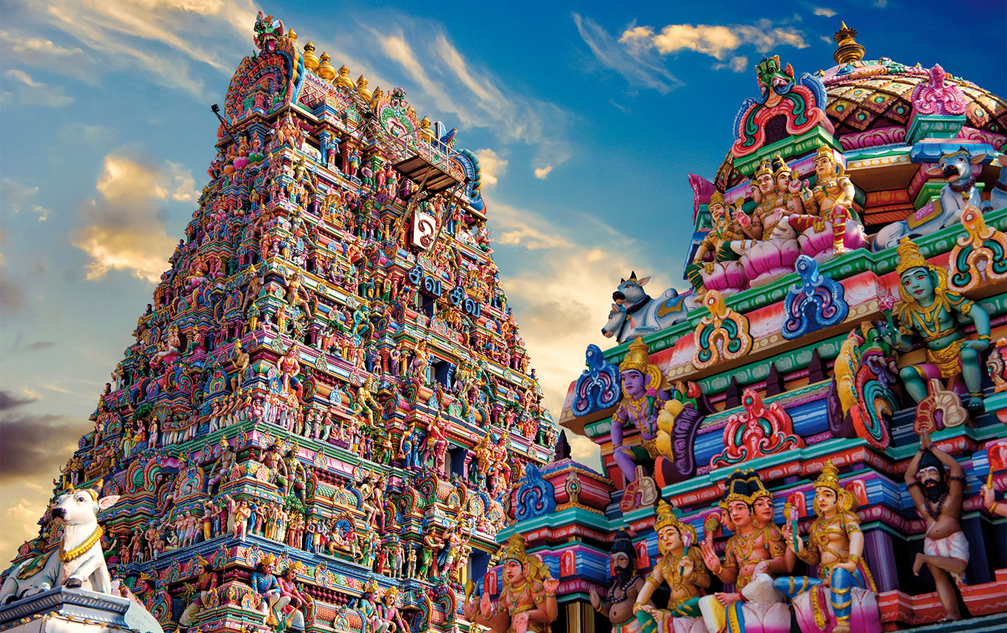 Intriguing animal temples to visit in India