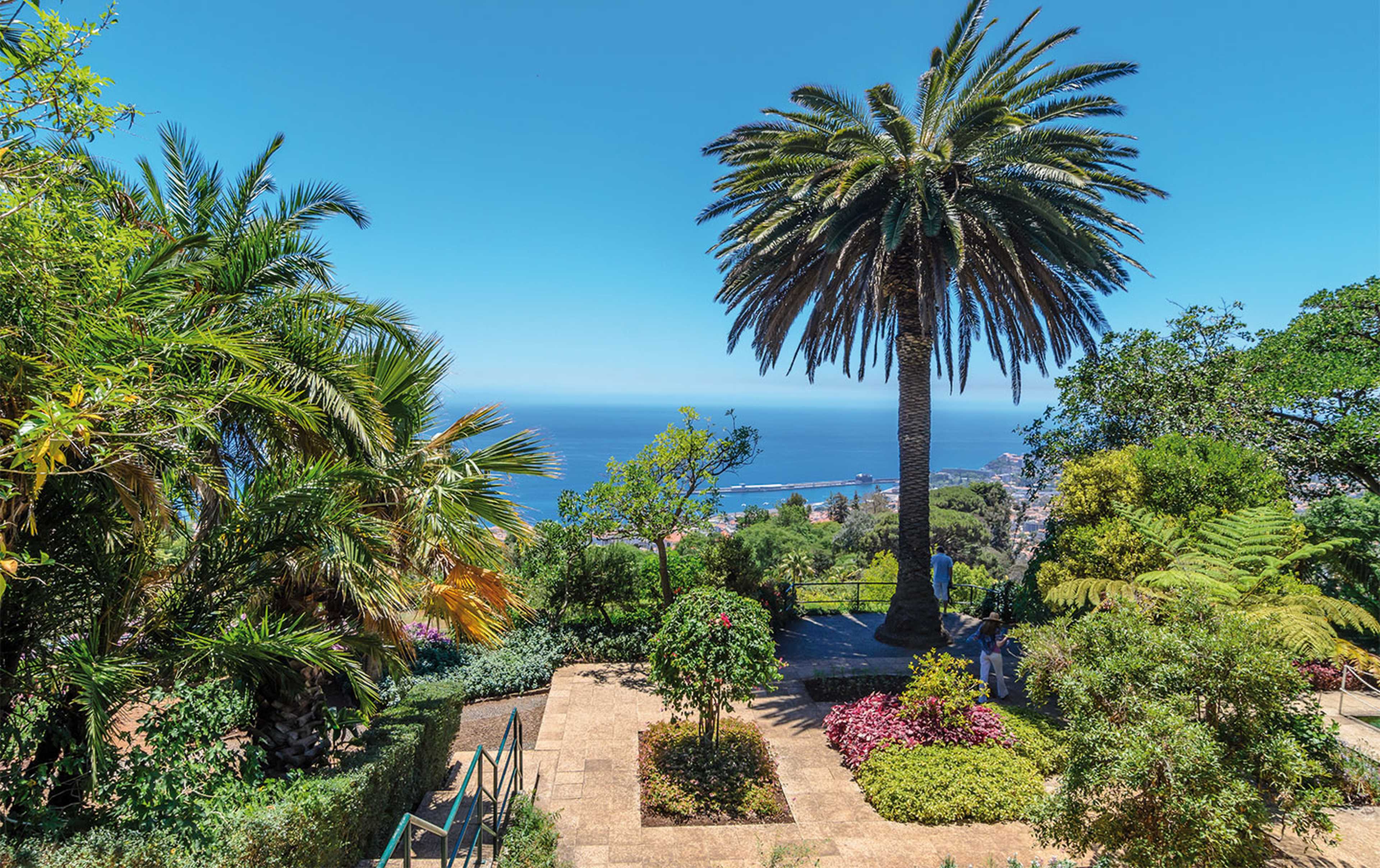 Madeira travel guide: what to know before you go