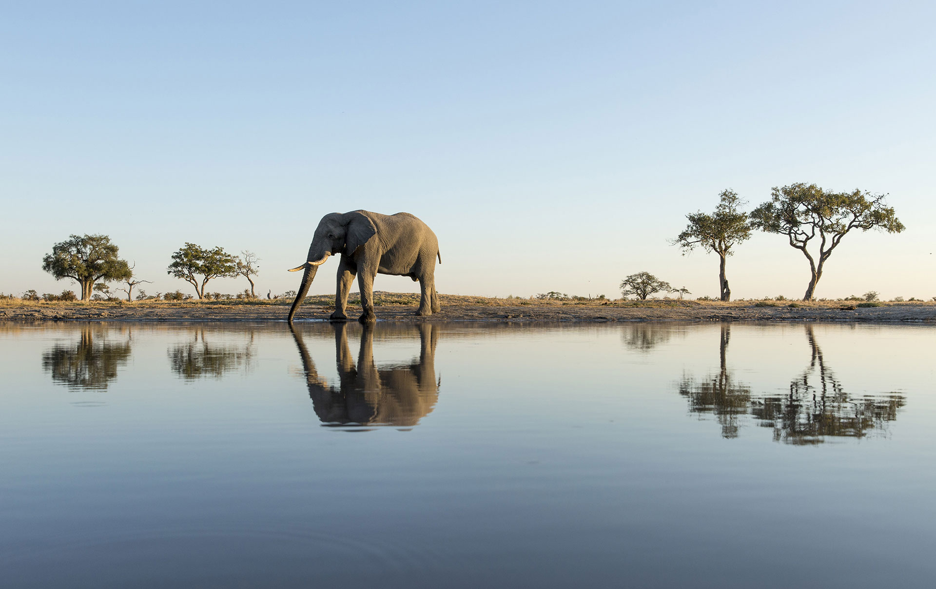 Put a safari in Botswana on your bucket list