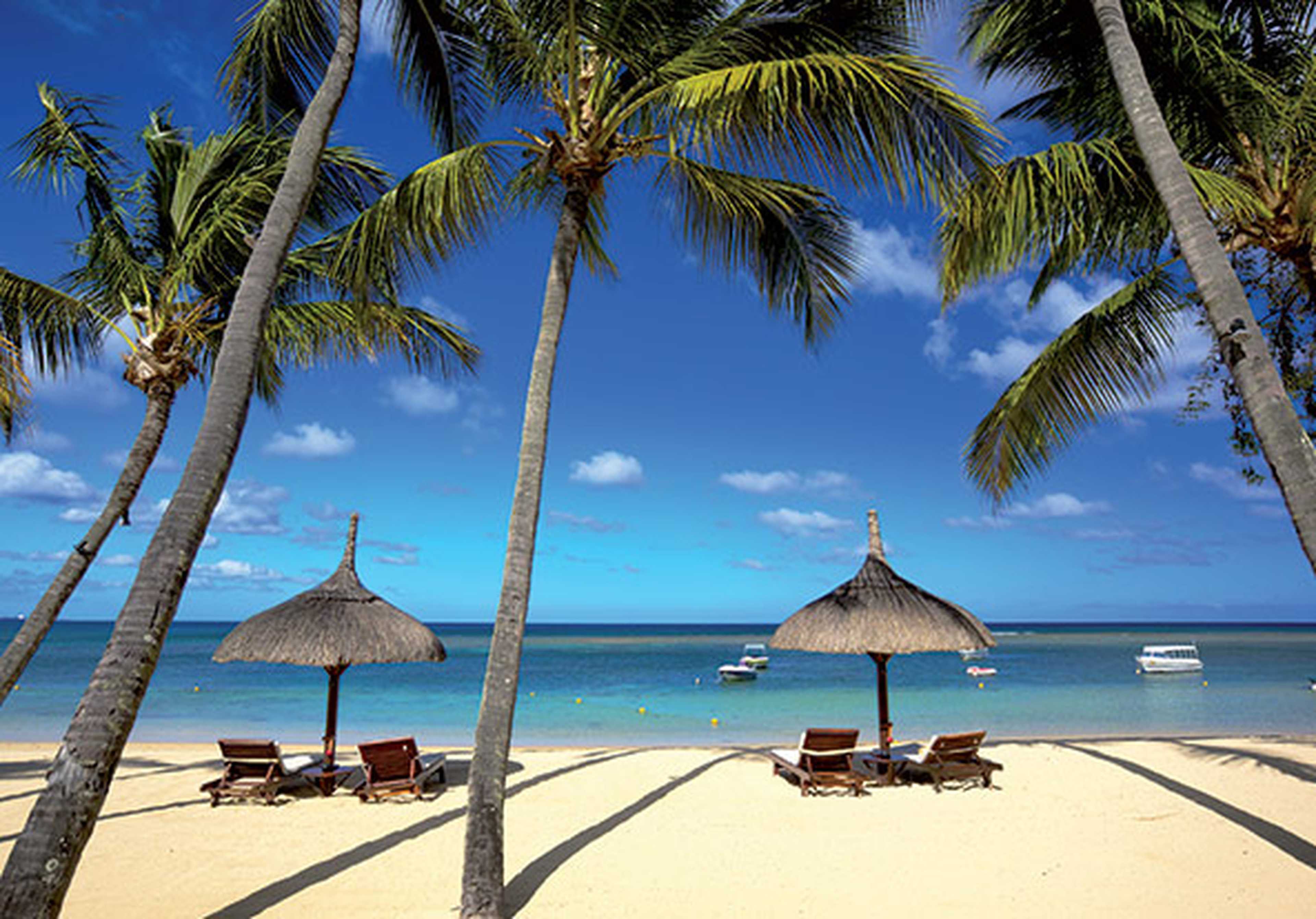 Africa Holidays & Tours 2024/2025 | Saga Holidays