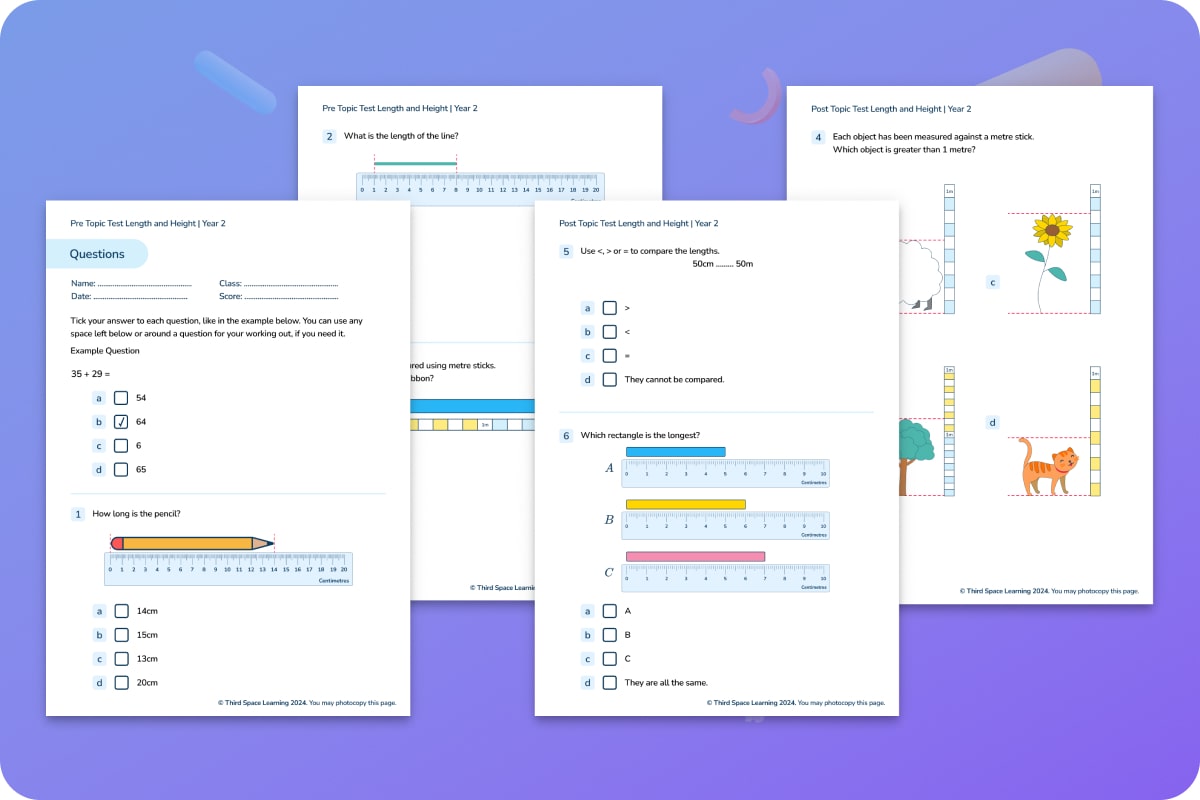 Diagnostic Assessment Length And Height Year 2 | Maths Hub | Third ...