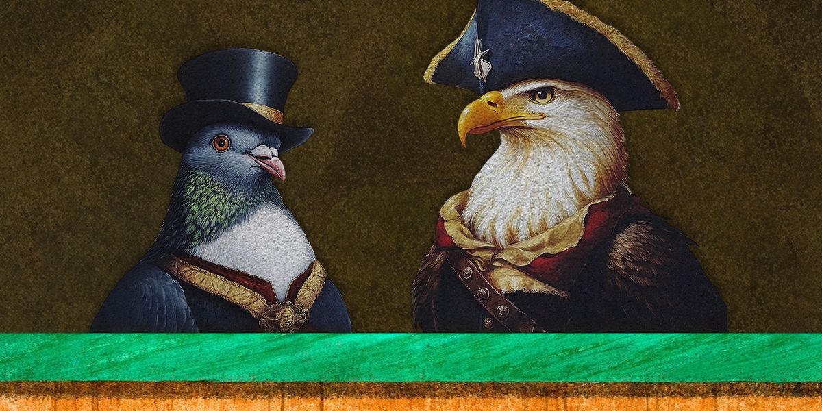 Amelia Isaacs - Journalist Profile - Intelligent Relations