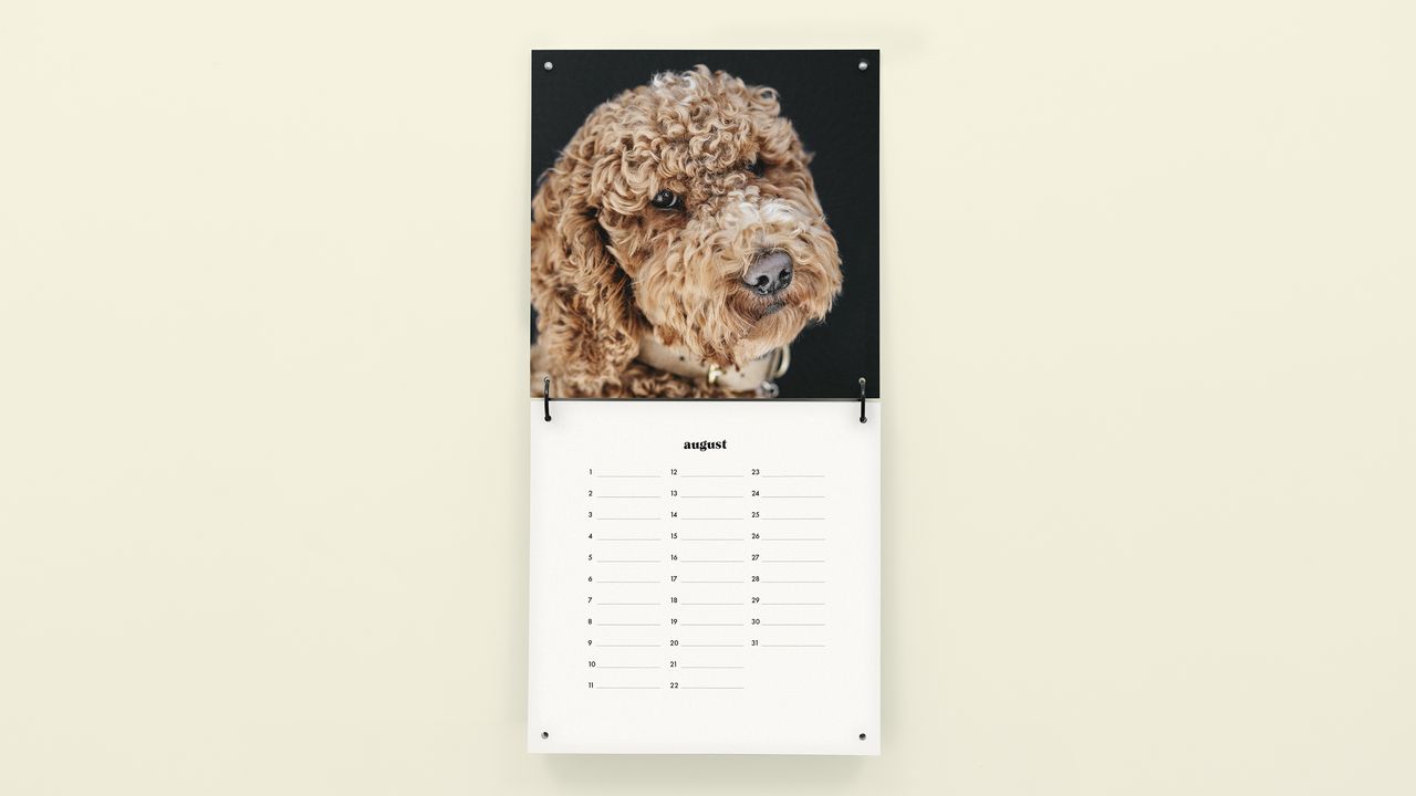 Photo Calendar - IXXI