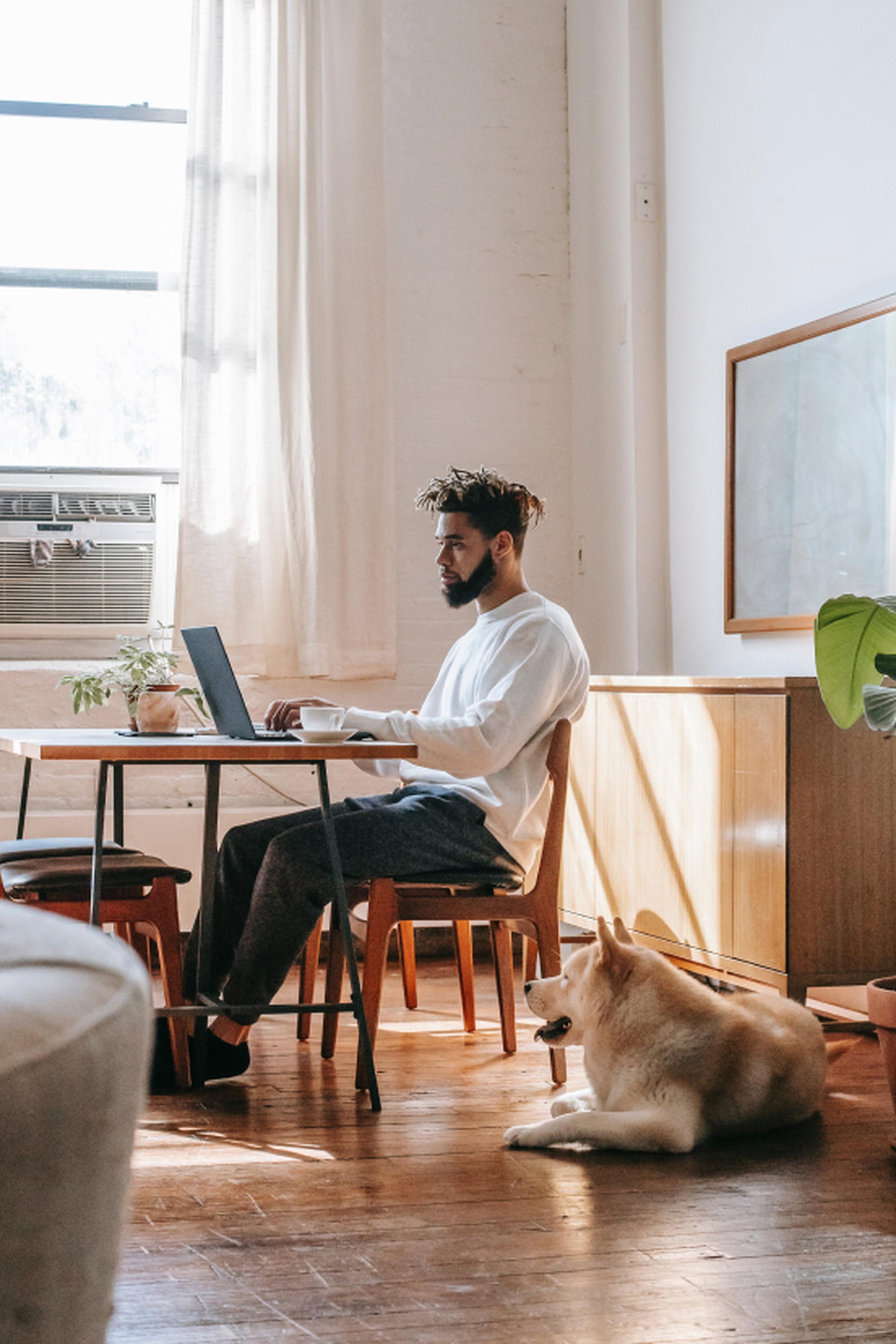 Certified Online English Course | EF English Live