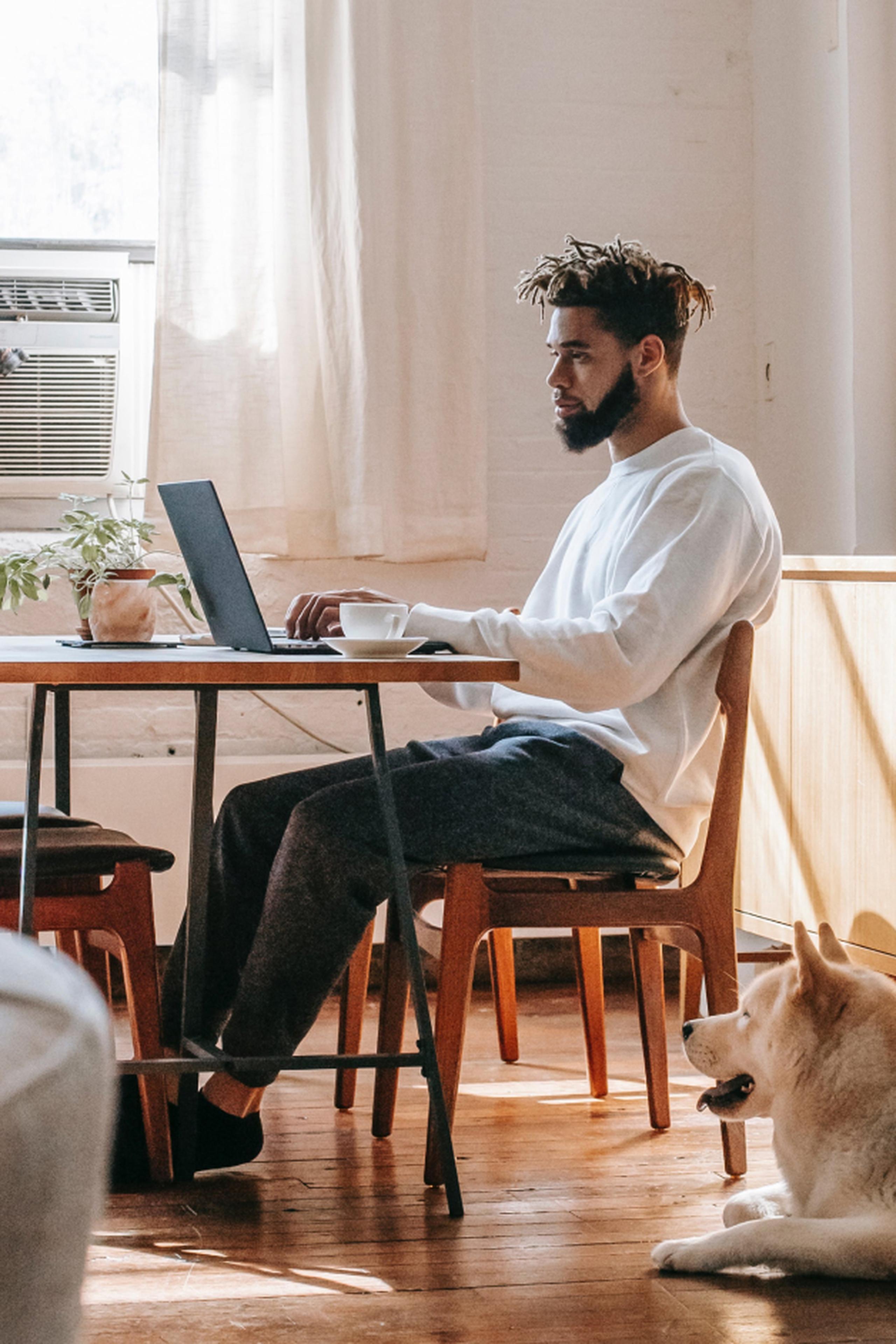 TOEFL test preparation course online | EF English Live