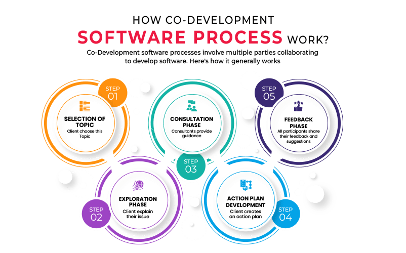 How-co-development-software-process-work